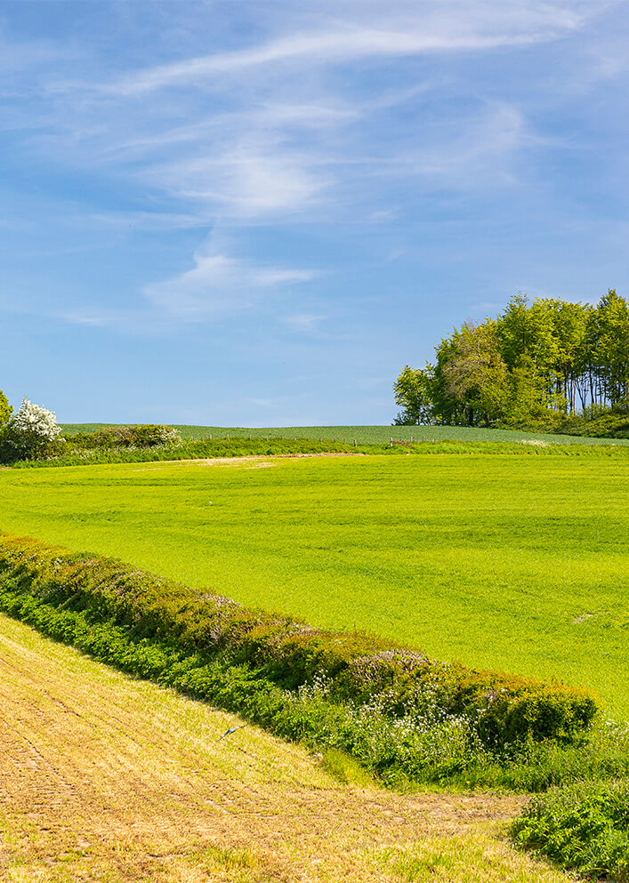 New Homes Development near Dorchester - Wyatt Homes